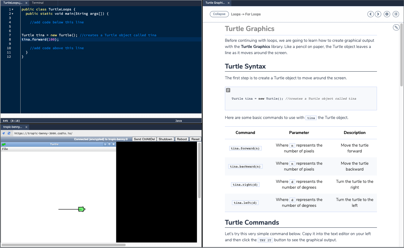 Turtle Documentation